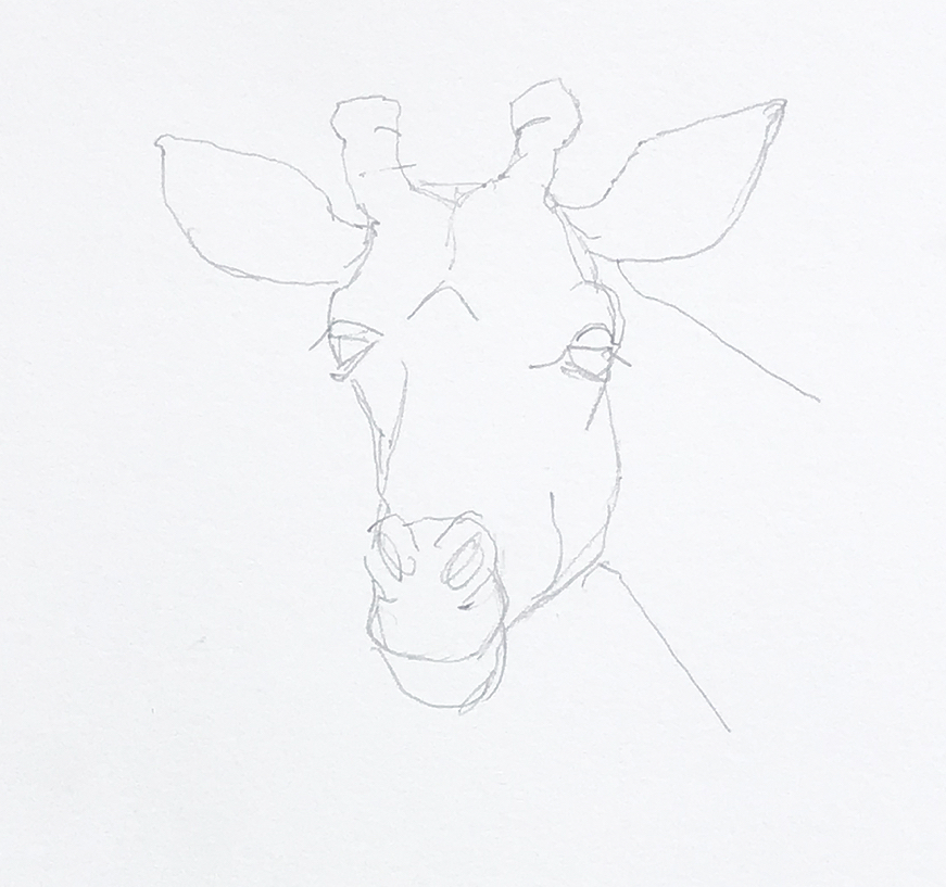 Getting Started: Seeing Simple Shapes, Part 2 – SketchWild